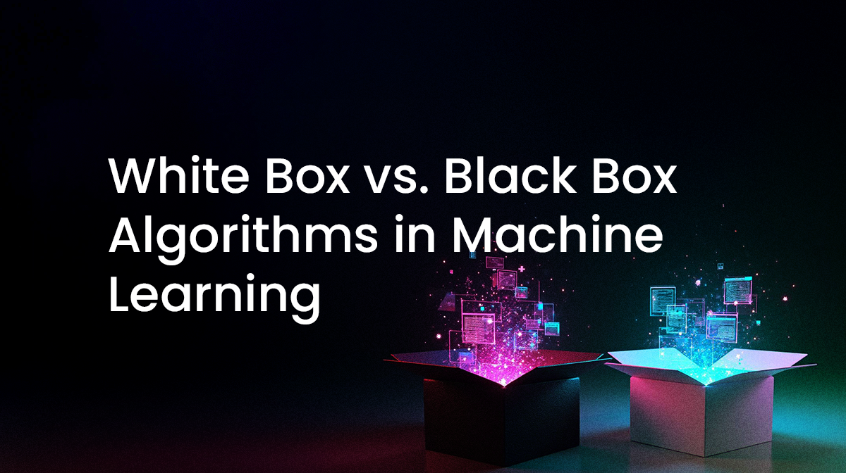 White Box vs. Black Box Algorithms in Machine Learning